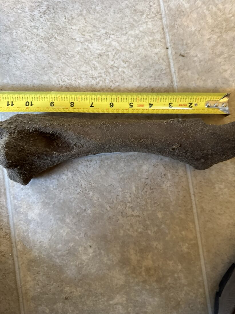 State officials confirm leg found at Dewey Lake not human - Mountain ...