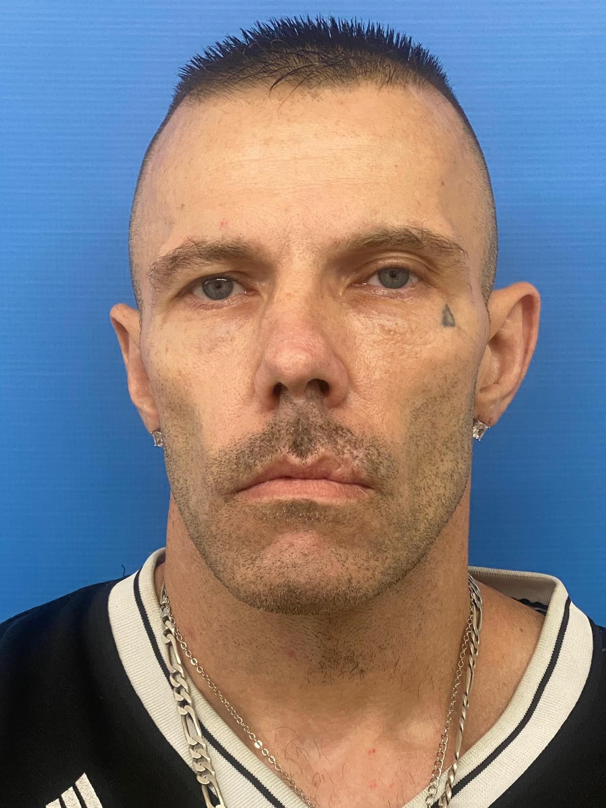 Traffic stop leads to drug and gun charges - Mountain Top Media