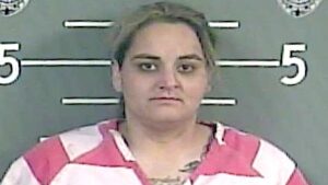 Repeat offender racks up more charges following police chase - Mountain ...